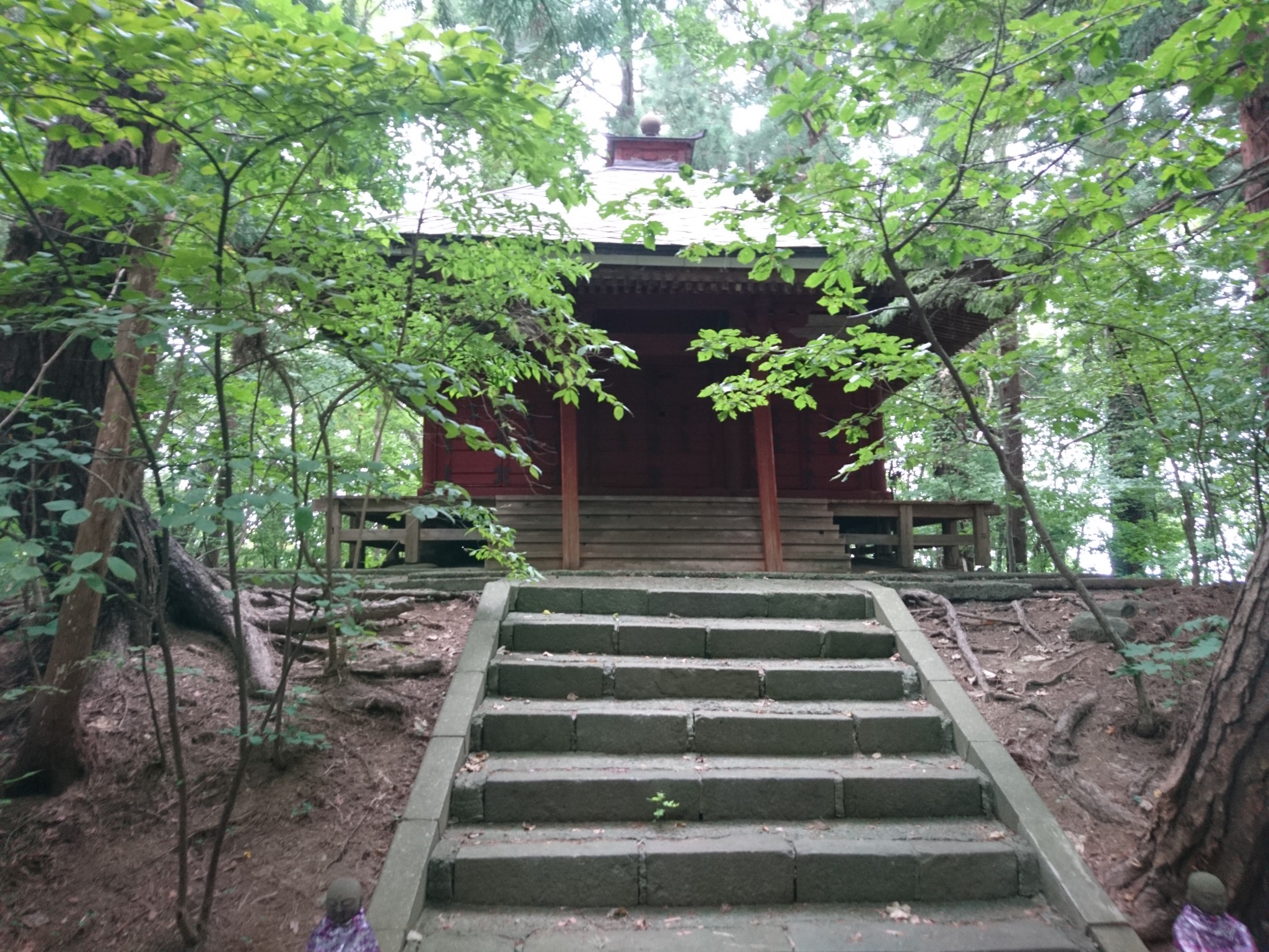 DSC_5467 | テラソリューション